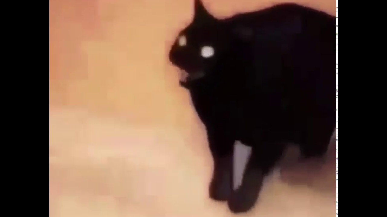 Cat Meowing (HARD Earrape) - YouTube