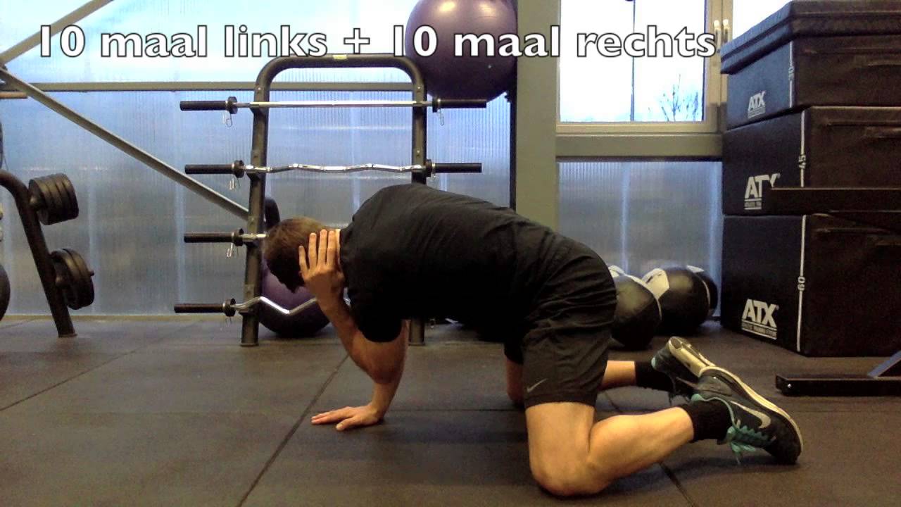Oefening van de week: Quadruped Extension-Rotation - YouTube