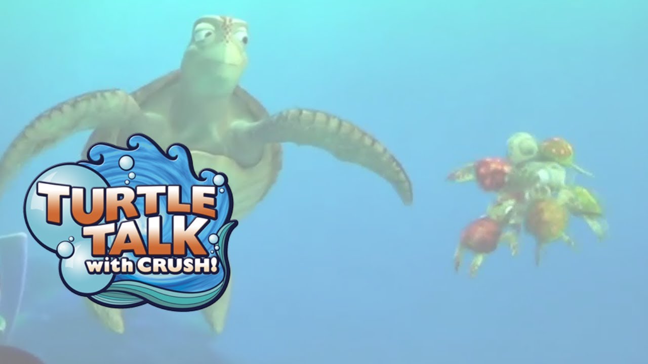 Totally Awesome Turtle Talk with Crush, Dude! at Disney's California ...
