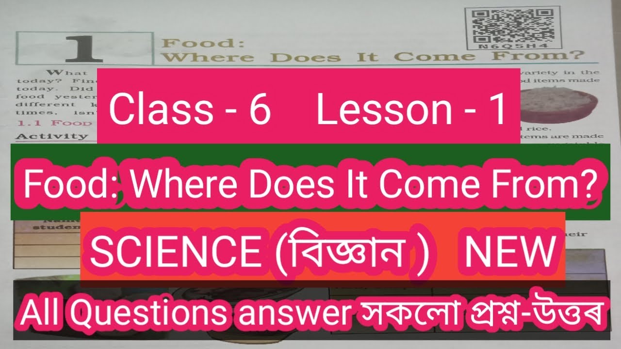 Class 6 Lesson 1 Science Food Where Does It Come From All Class 6 Lesson 1 Science Food Where Does It Come From All