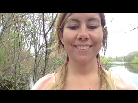 TODAY AT THE POND FRIDAY MAY 3 2019
