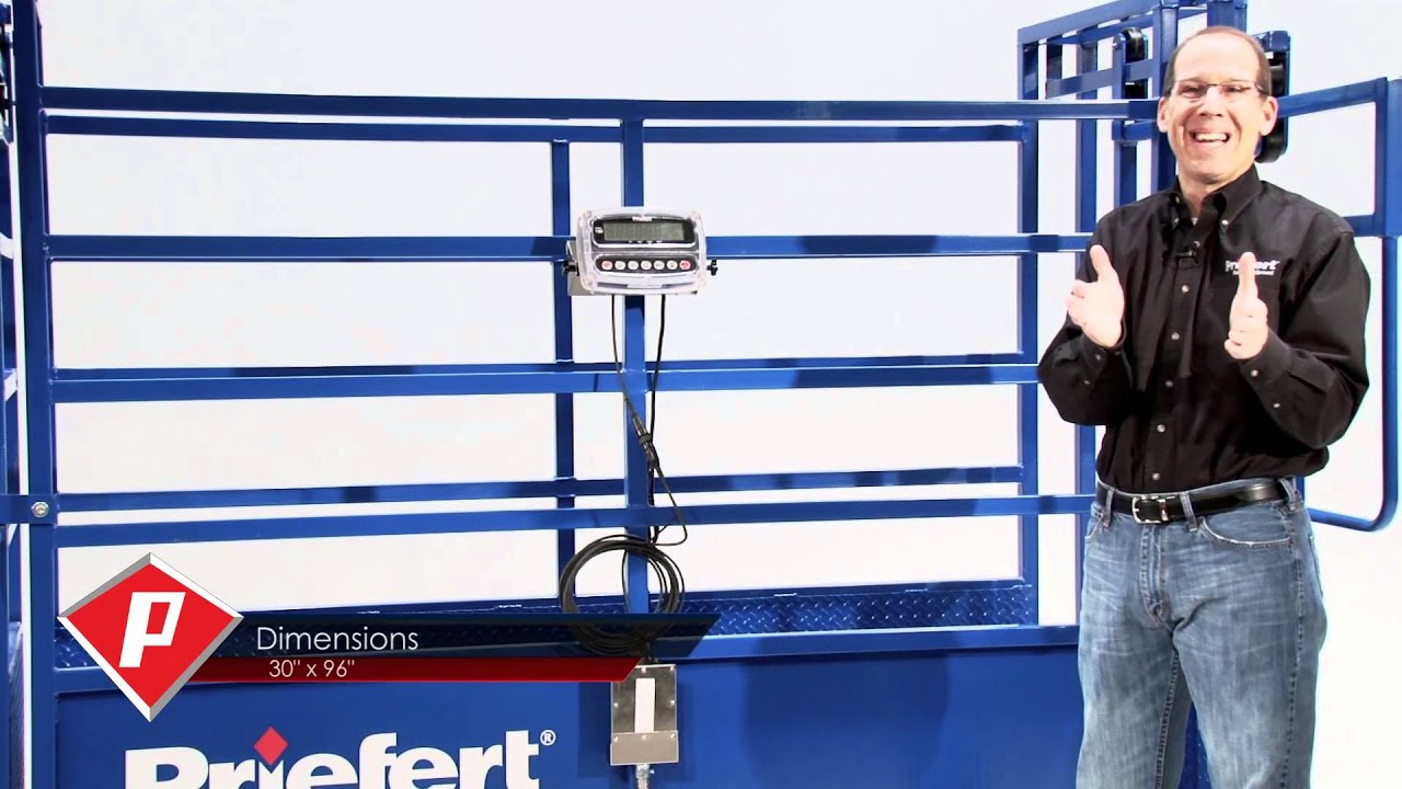 Single Animal Scale Crate with Indicator - YouTube