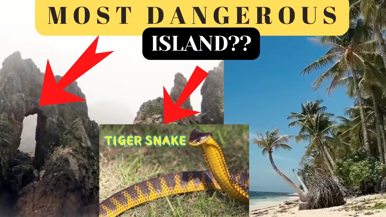 6 Most Dangerous Islands In The World You Won't Dare To Visit | Which ...