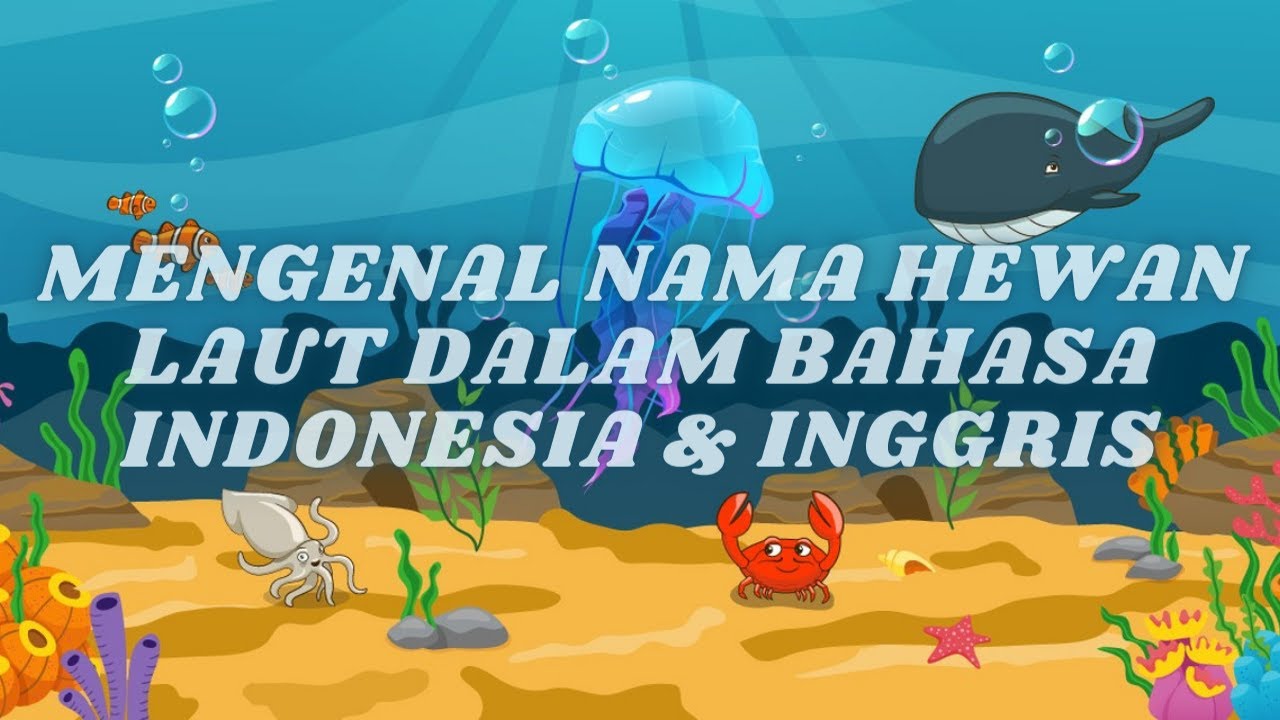 MENGENAL NAMA HEWAN LAUT | INTRODUCE NAME OF ANIMAL SEA | EDUKASI ...