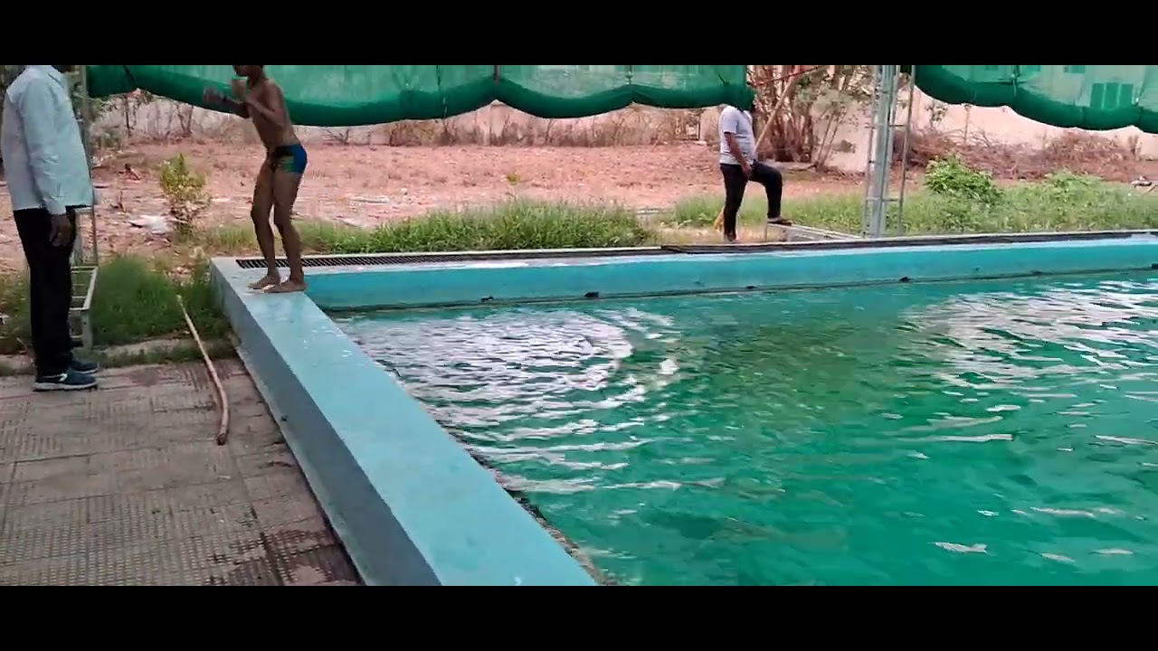SMS stadium Swimming pool video | Mini Swimming pool in Jaipur at just ...