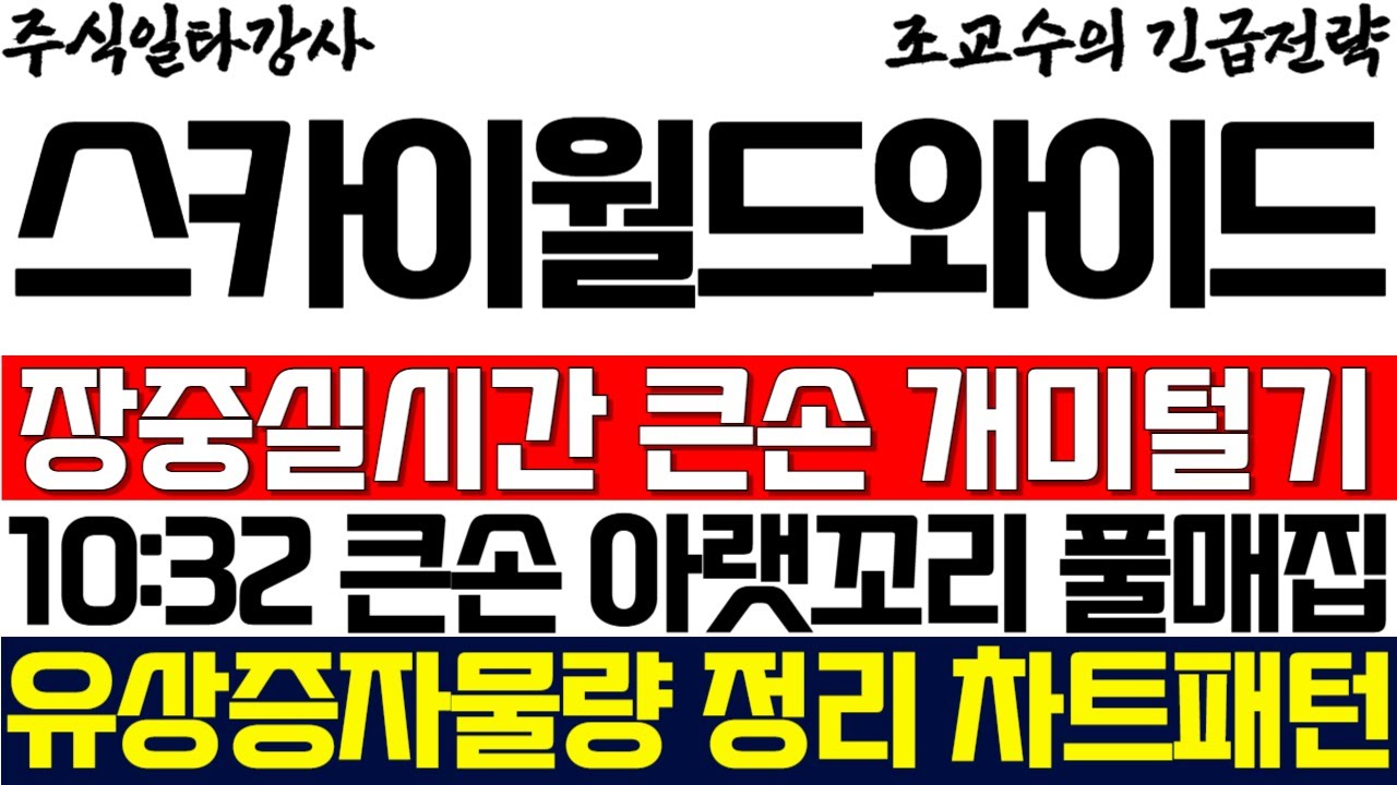 스카이월드와이드 주가 조교수 장중실시간 큰손 개미털기 포착 1032 큰손 아랫꼬리 풀매집 유상증자물량 정리 차트 패턴