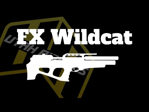 Getting Started With Your FX Wildcat