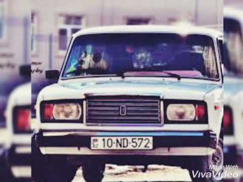 Afdoslar 2019(QARA DELFIN)