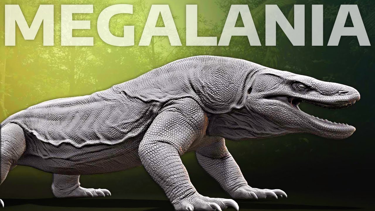 Why Megalania May Be The Most Fun Playable | The Isle - YouTube