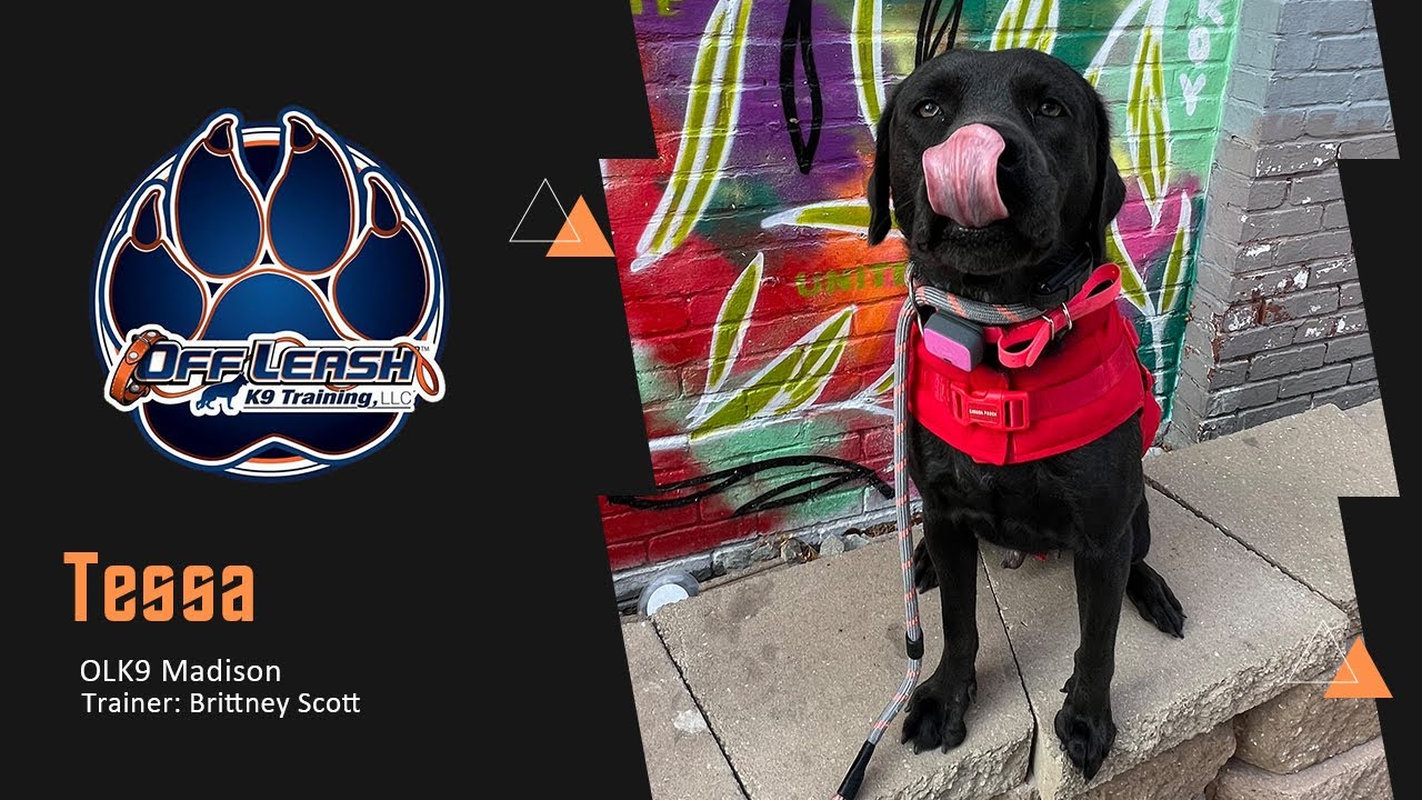 Tessa's Transformative Journey: A Two-Week Training Adventure! - YouTube