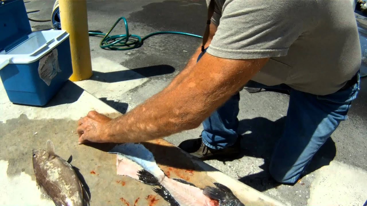 How to fillet a fish quick and easy 101 - YouTube