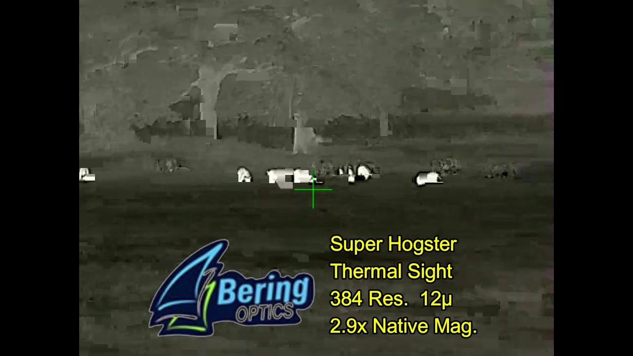 Bering Optics SUPER HOGSTER - First Night Teaser - YouTube