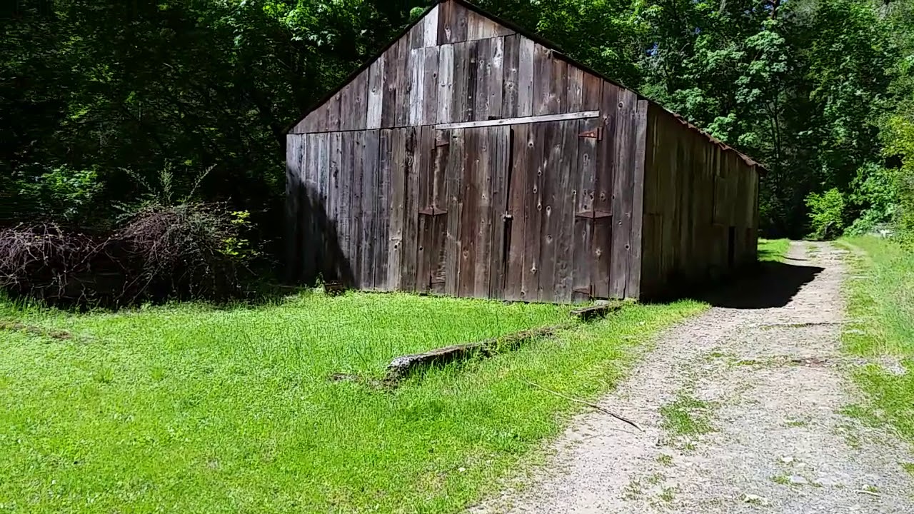 Hiking the Ritchey Canyon Trail in Bothe State Park, Napa Valley - YouTube