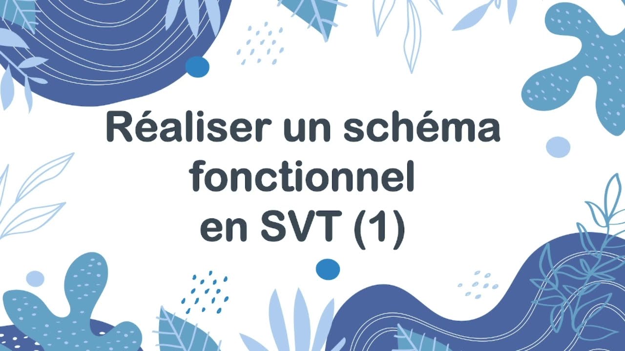 Comment réaliser un Schéma Fonctionnel en SVT? 1/2 - YouTube