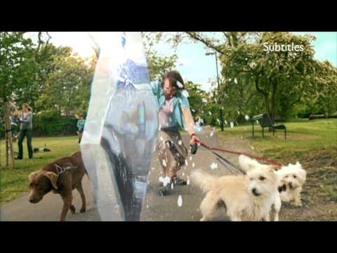 [1080p HD] BBC HD Ident - Huskies