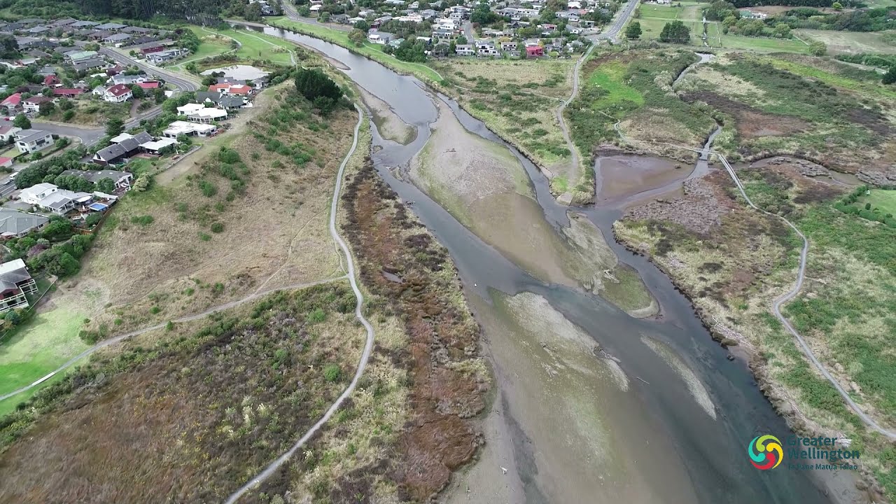 Waikanae River Estuary / DOC Scientific Reserve, New Zealand - YouTube