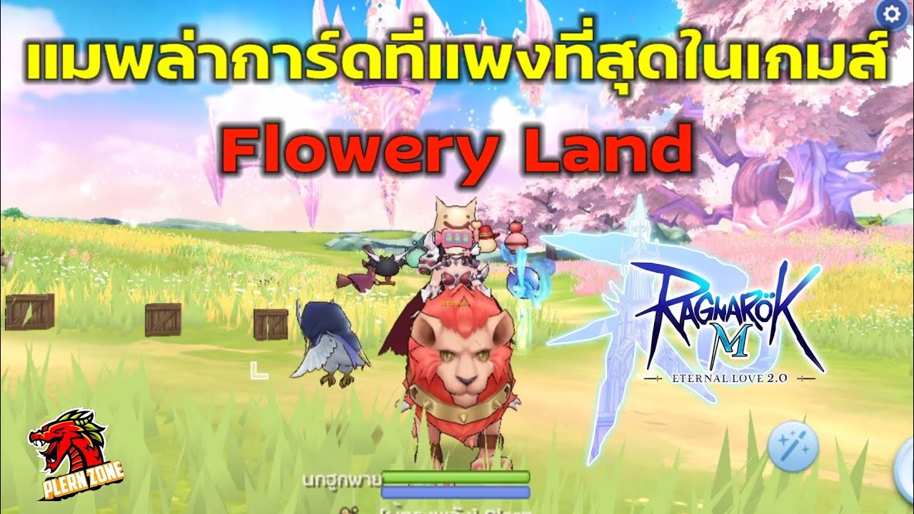 Ragnarok M 2.0 - แมพล่าการ์ดที่แพงที่สุดในเกมส์ (Flowery Land) - YouTube