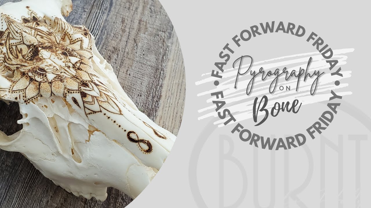 Time Lapse of Pyrography on Bone // Fast Forward Friday - Deer Skull ...