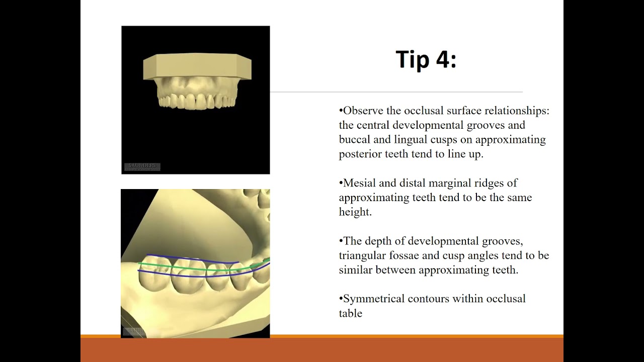 6. How to Look at Teeth - YouTube