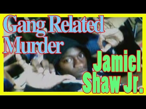 Journalist questions Jamiel Shaw's gang status before murder - YouTube