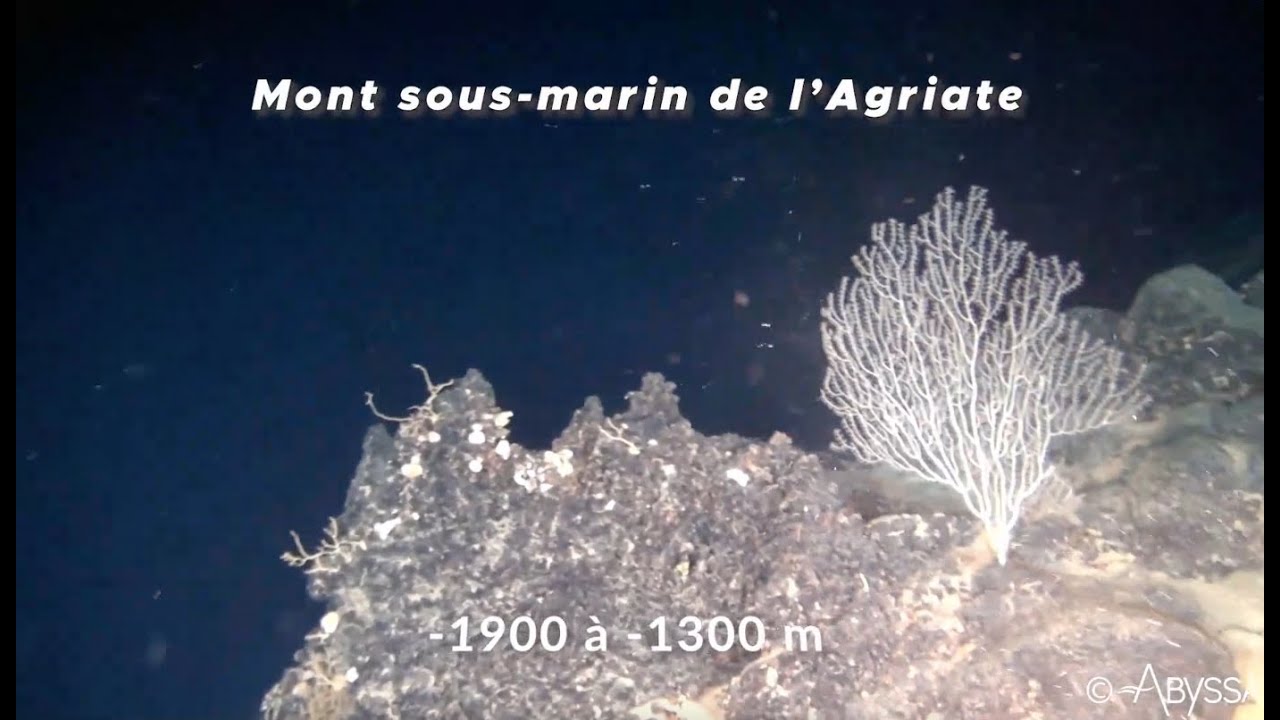 L'exploration des grands fonds marins : pour quoi et comment ? - YouTube