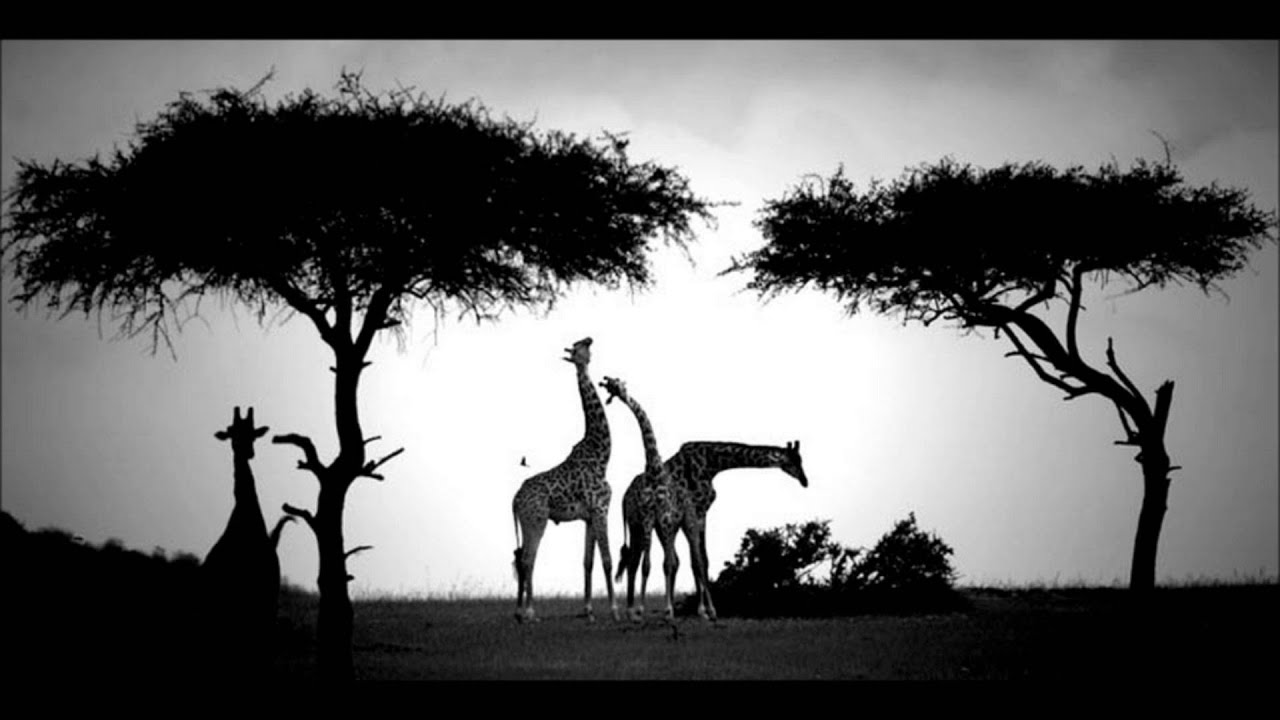 DABY BALDE Halaname - YouTube