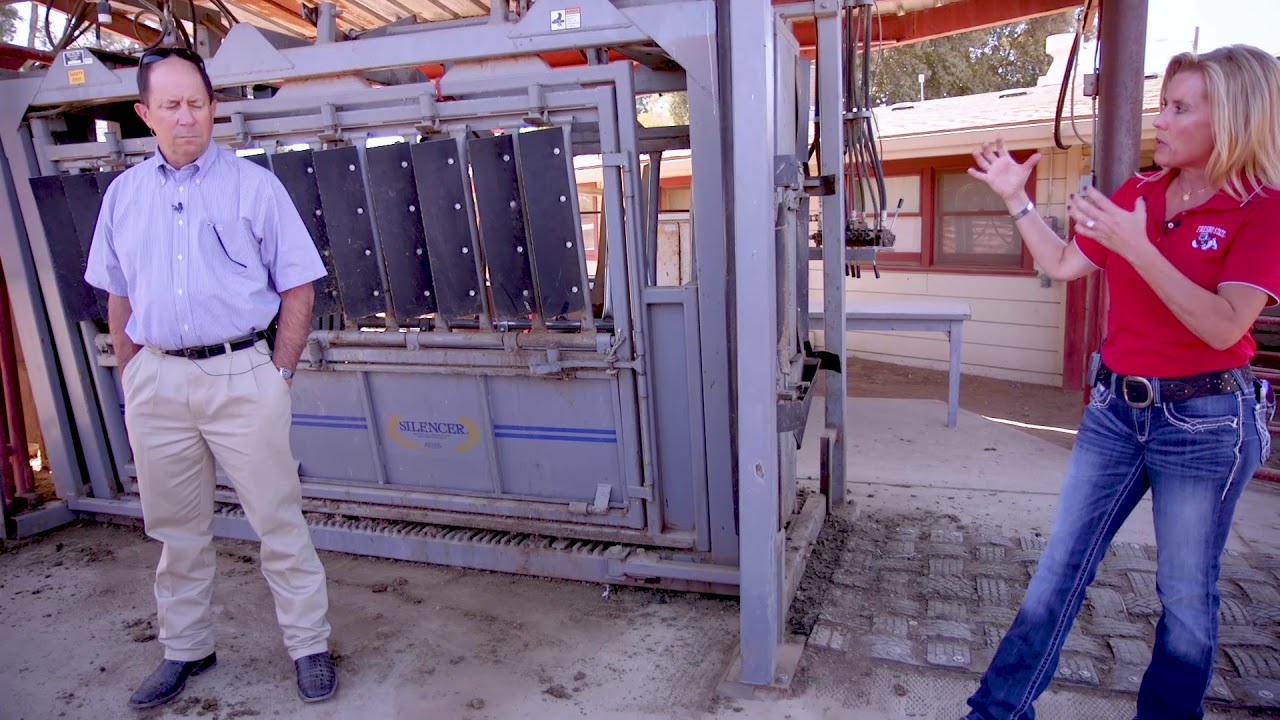 Beef Unit Tour - YouTube