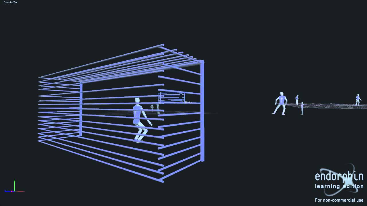 Football Endorphin Animation by Me - YouTube