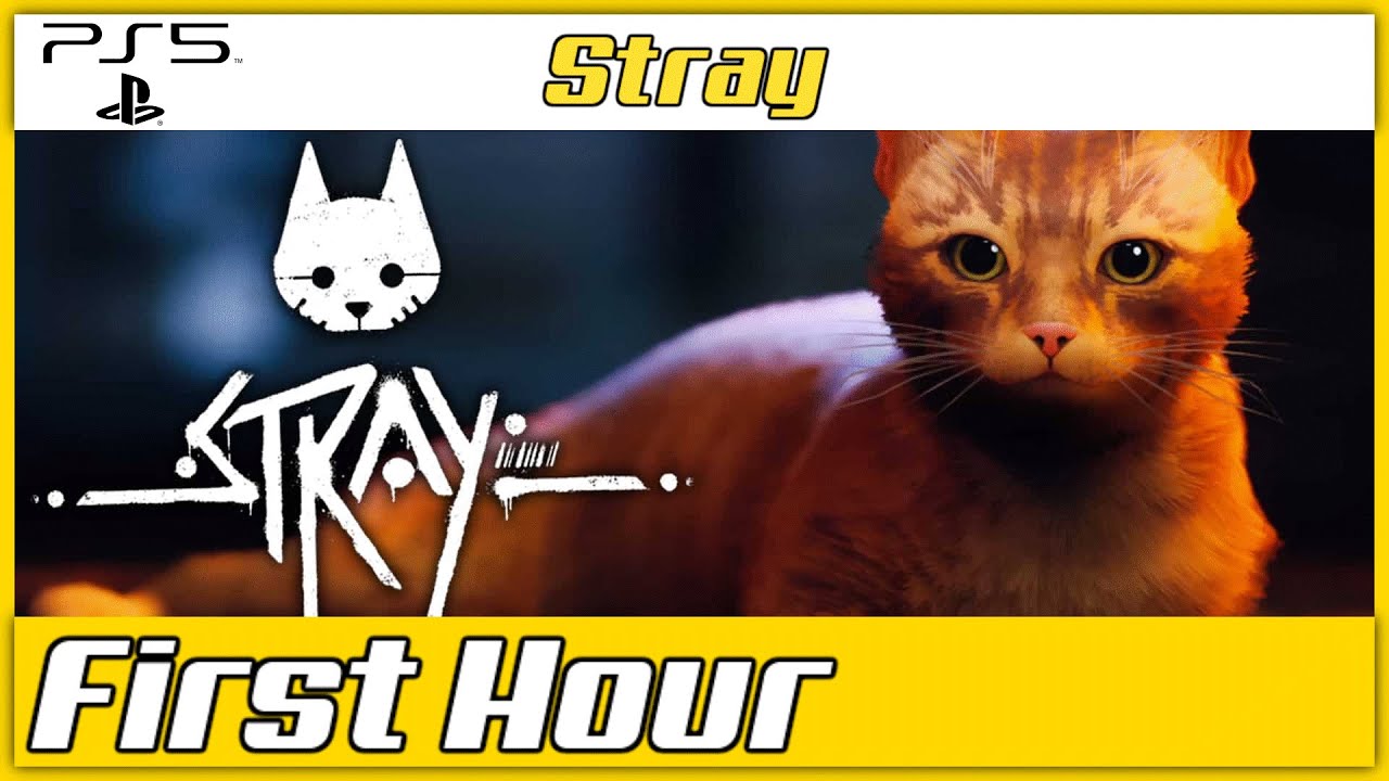 Stray | First Hour of Gameplay | No Commentary (PS5 60 FPS) - YouTube