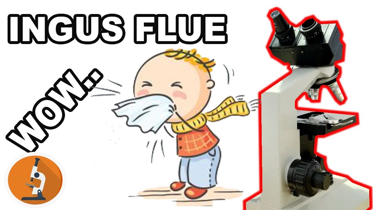 Zoom 1000x - Ingus orang sakit Flu - YouTube