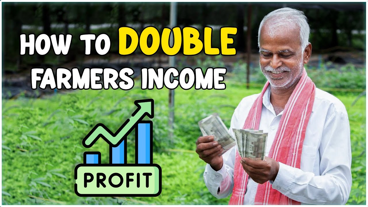 How to double Farmers income? Agriculture Business Sucess Secrets ...