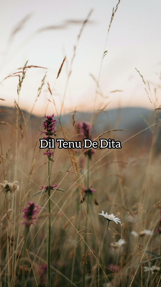 Dil Tenu De Dita Hass Hass Lyrical Status Singer Diljit And Sia