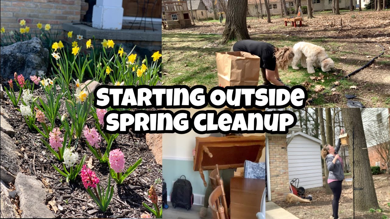 OUTSIDE SPRING CLEANUP/ New items for my birds, flower update and ...