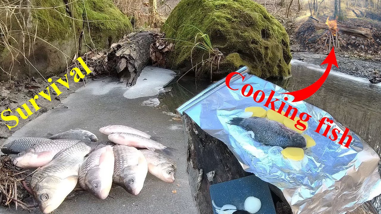 Cooking fish wild outdoors How to cook delicious fish on the fire ...