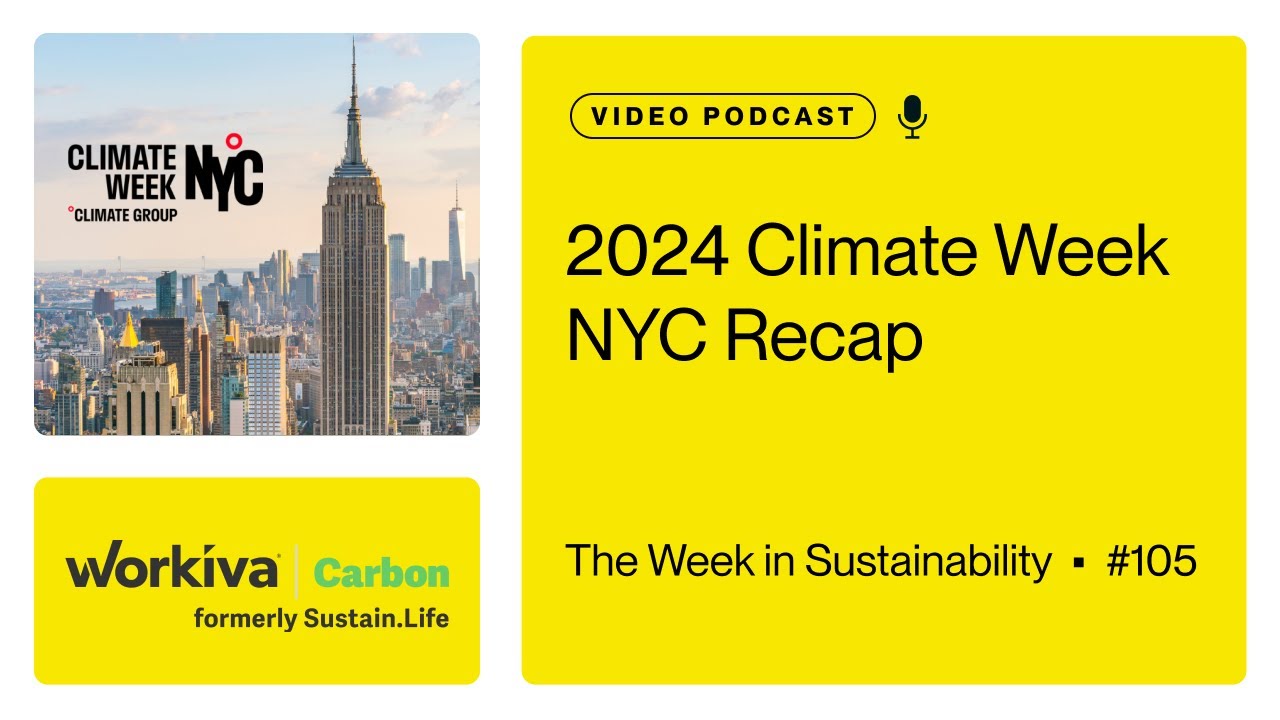 2024 Climate Week NYC Recap // The Week in Sustainability - YouTube