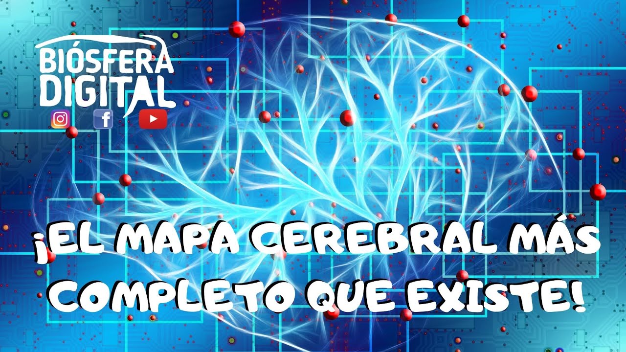 EL MAPA CEREBRAL MÁS COMPLETO QUE EXISTE - YouTube