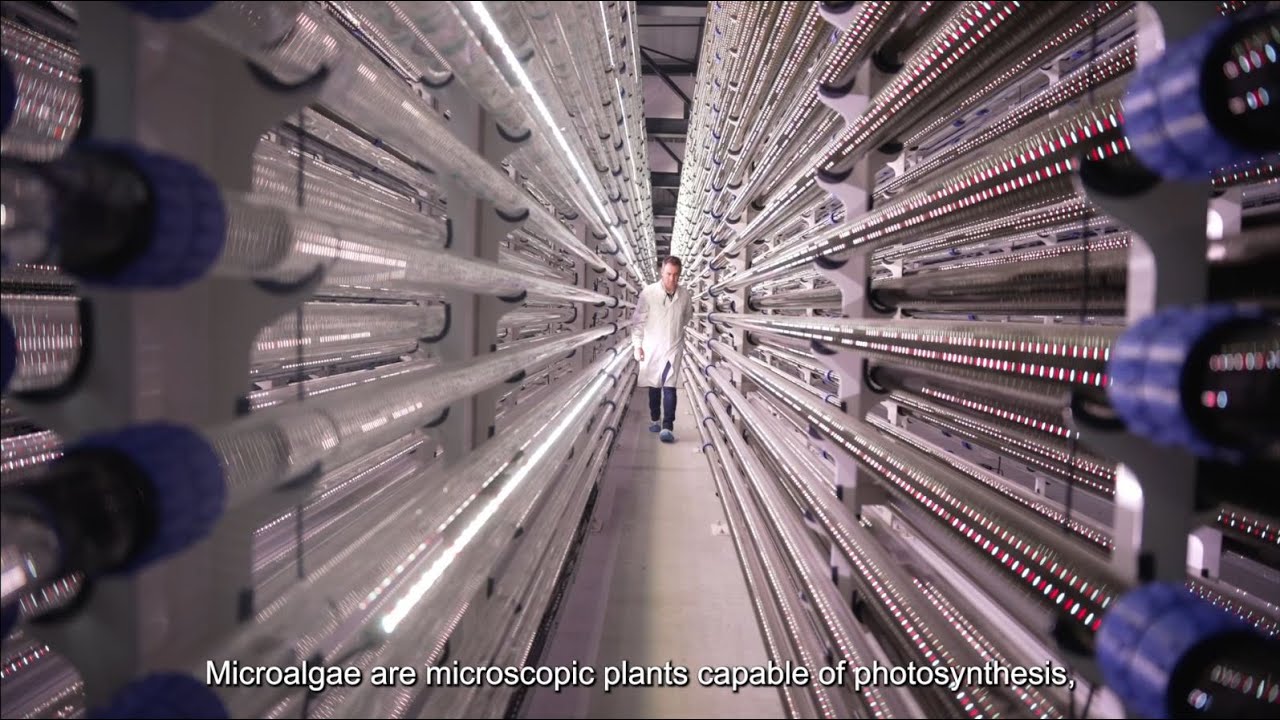 Discover Microphyt! - YouTube