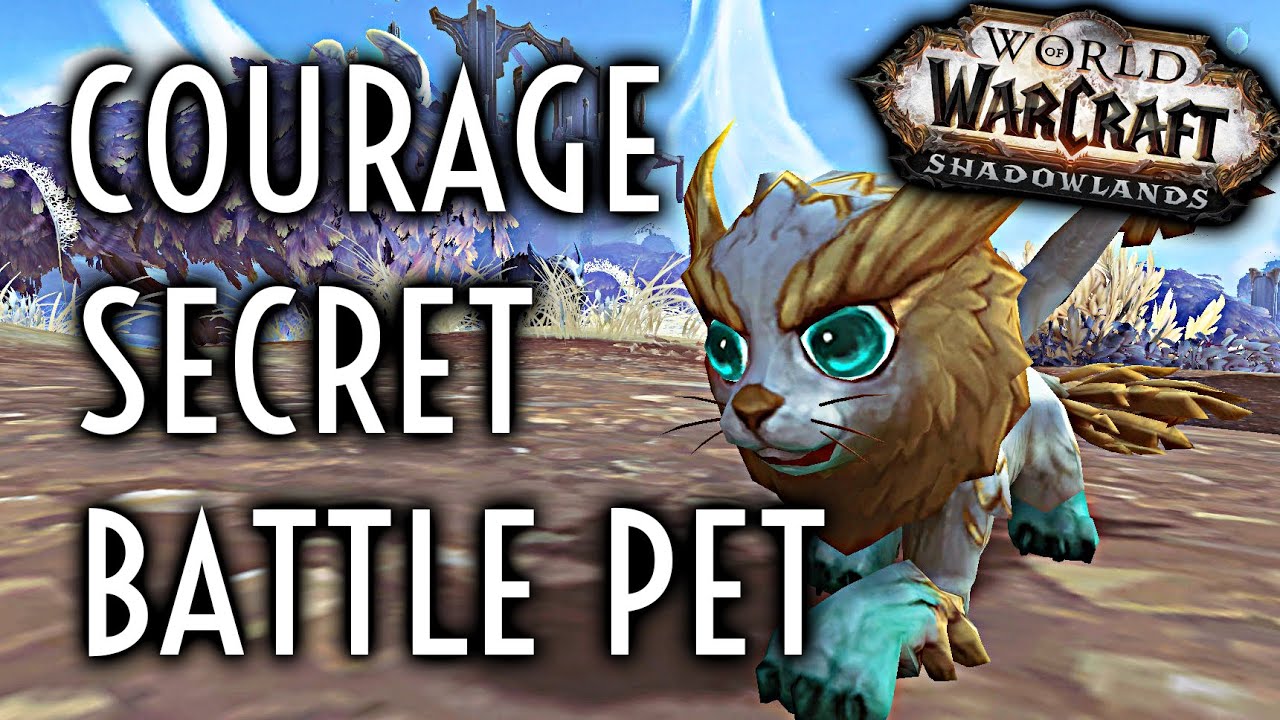 WoW Guide - Courage - Battle Pet - YouTube
