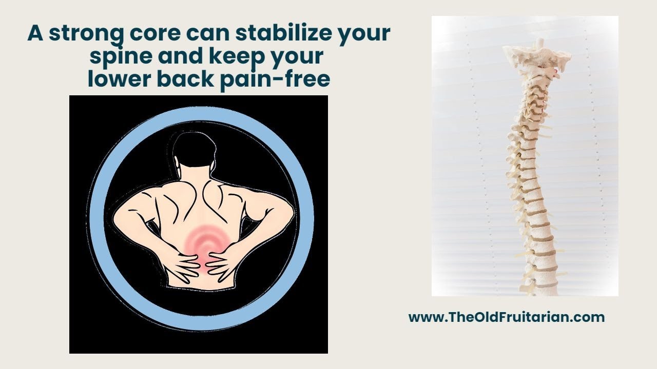 A strong core can stabilize your spine and keep your lower back pain ...