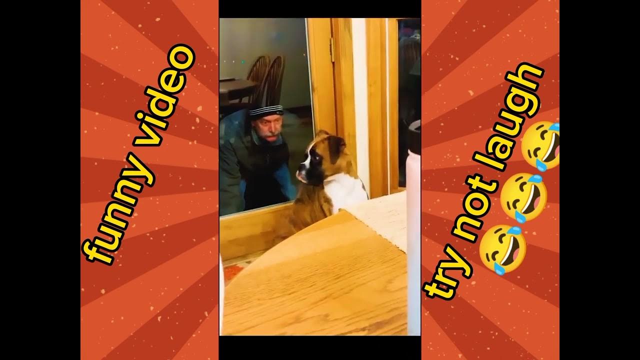 Funny Video Try Not Laugh 😂😂😂 Youtube