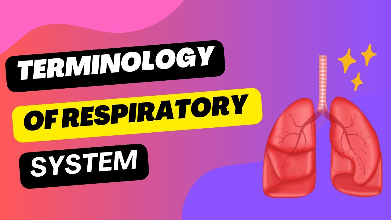 Learn Key Vocabulary of respiratory system|medical terminology ...
