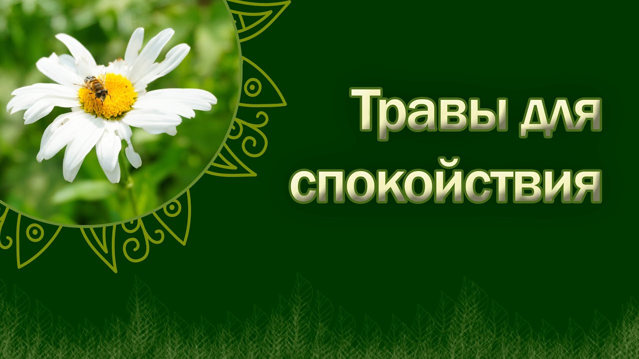 Травы для спокойствия - YouTube
