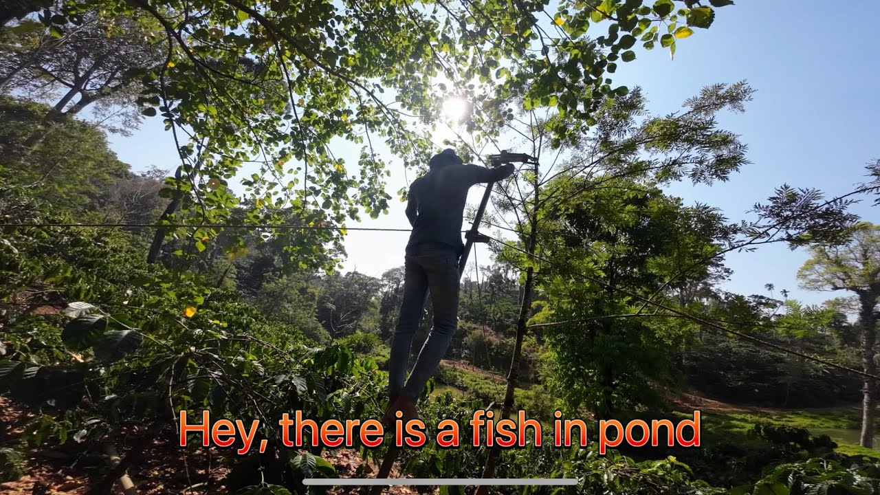 Walk around the grandpa’s estate, The Coorg life#coorg #vlog - YouTube