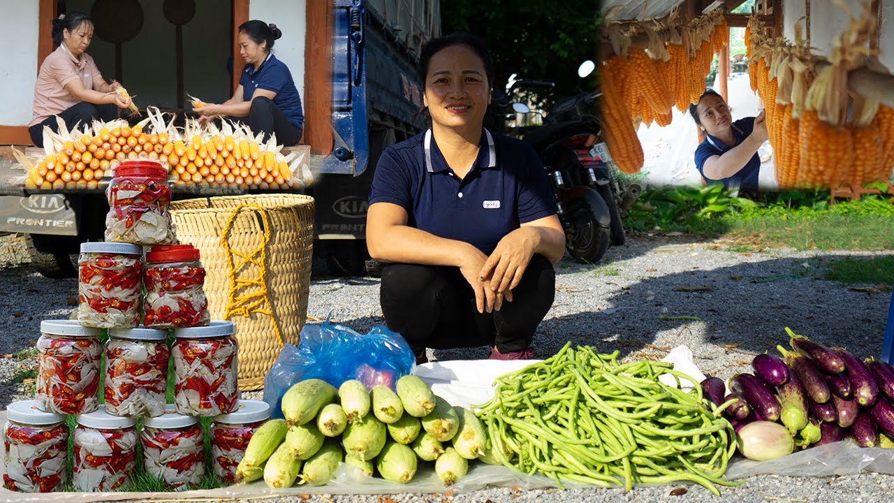 Harvest Vegetable Garden, Fruits bring to Market to Sell - Harvest and ...