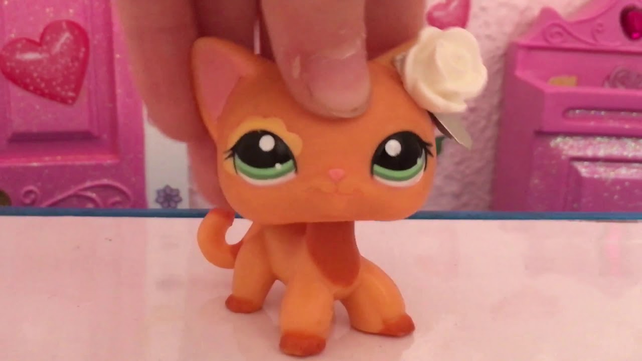 LPS Package opening!! - YouTube