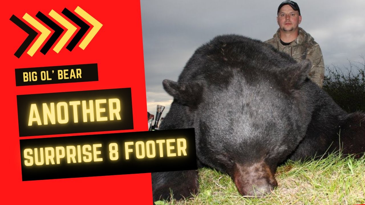 Another SURPRISE 8 FOOT BEAR!!! BOONER - YouTube