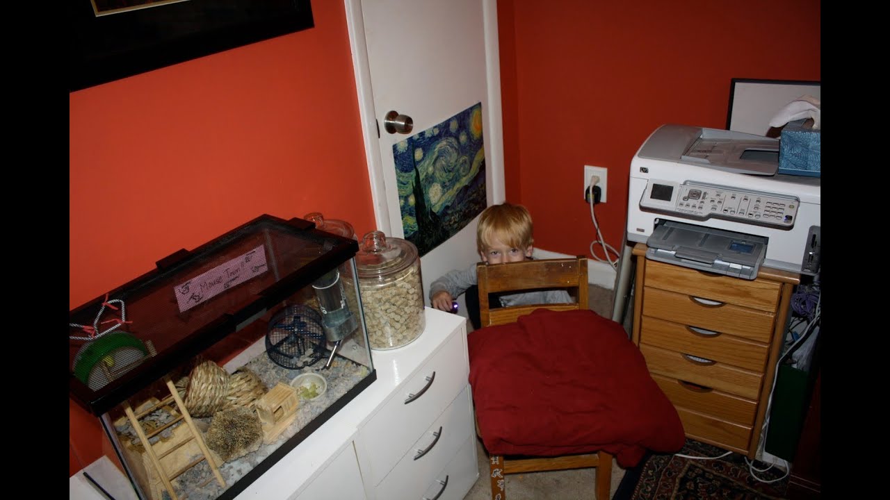 To the Console Fanboys Still Hiding Behind PC Gaming - YouTube