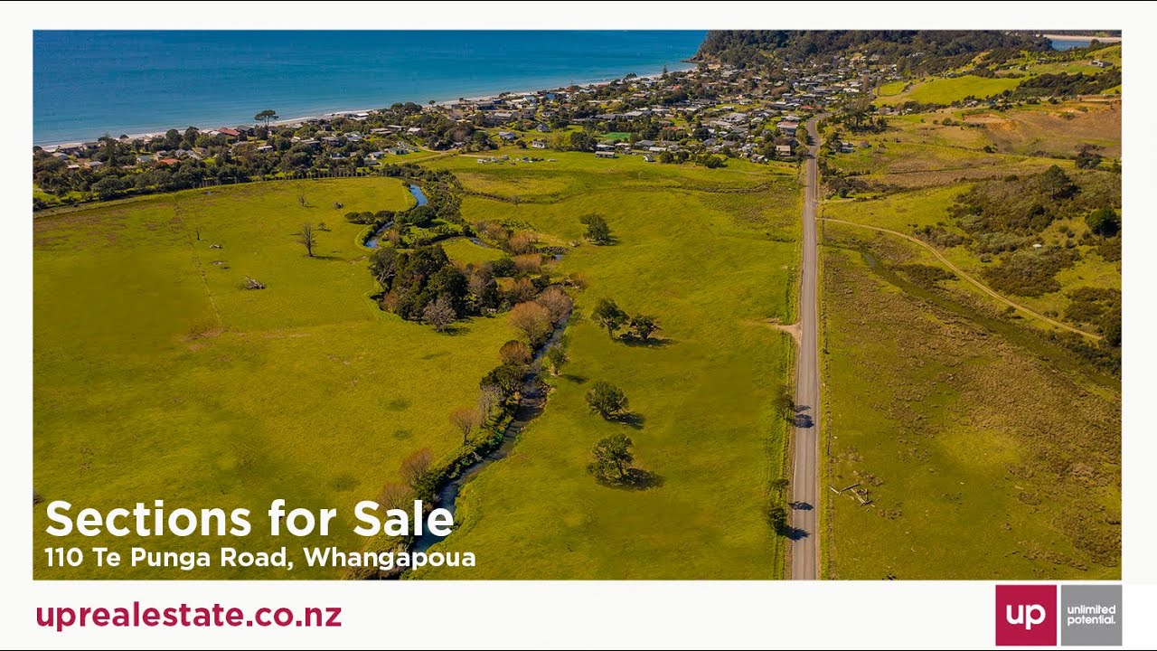 Sections for sale - 110 Te Punga Road, Whangapoua - YouTube