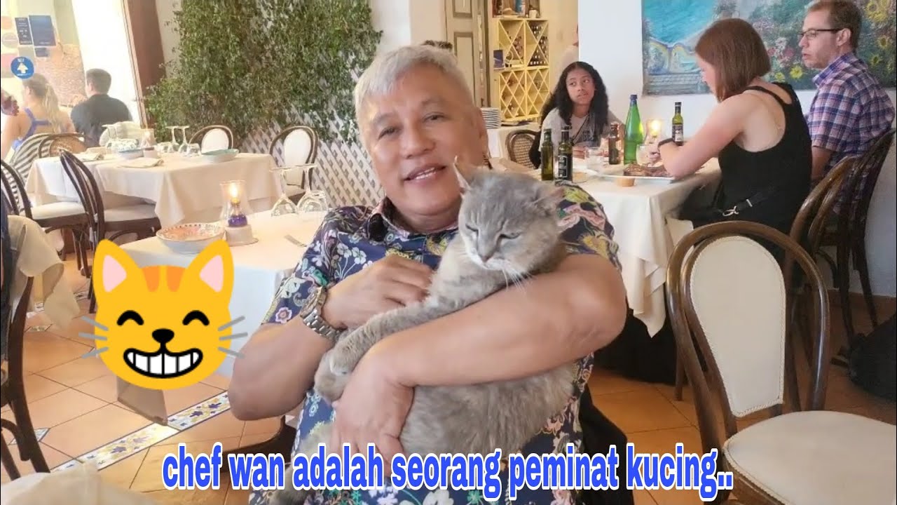 Chef wan adalah seorang peminat kucing 😁😸 - YouTube