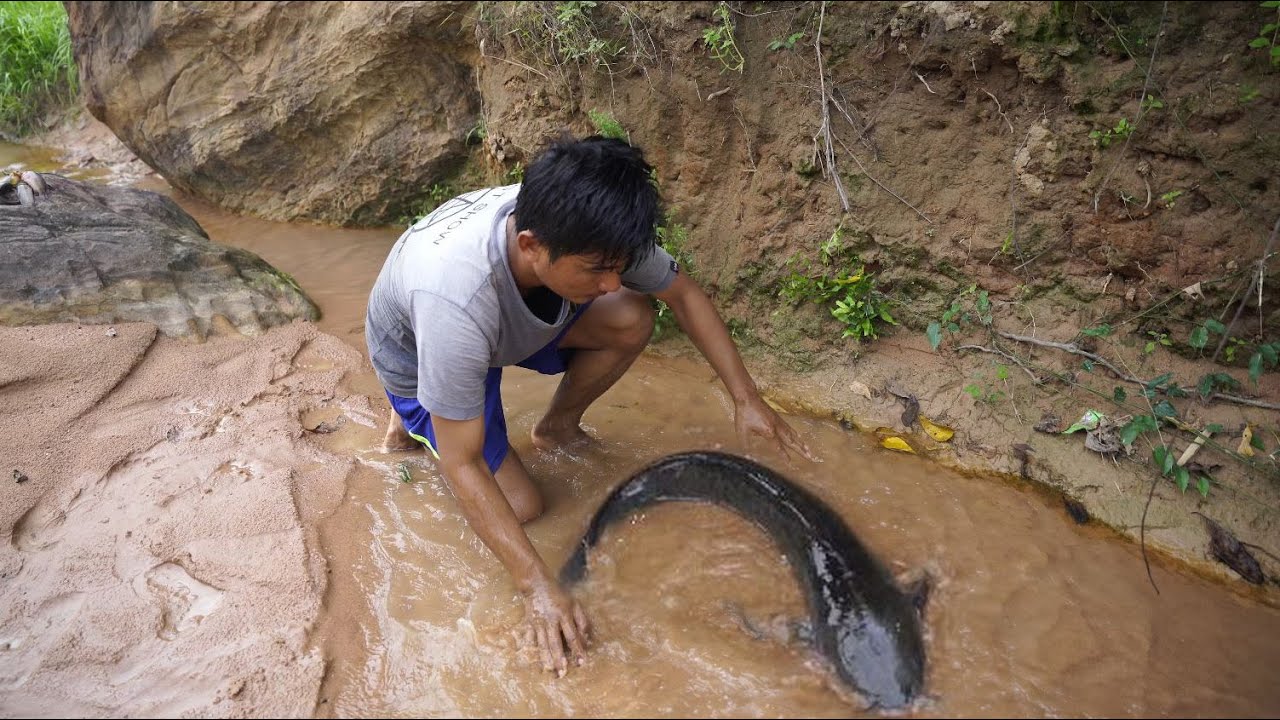 Catching Giant Fish at Mountain Waterfall/River and Making Food - YouTube